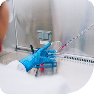 Lab-grown liver cells will help us to better understand diseases